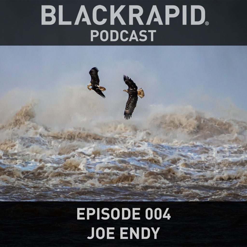 004 Joe Endy, Wildlife Photographer – BlackRapid Podcast – BlackRapid Media